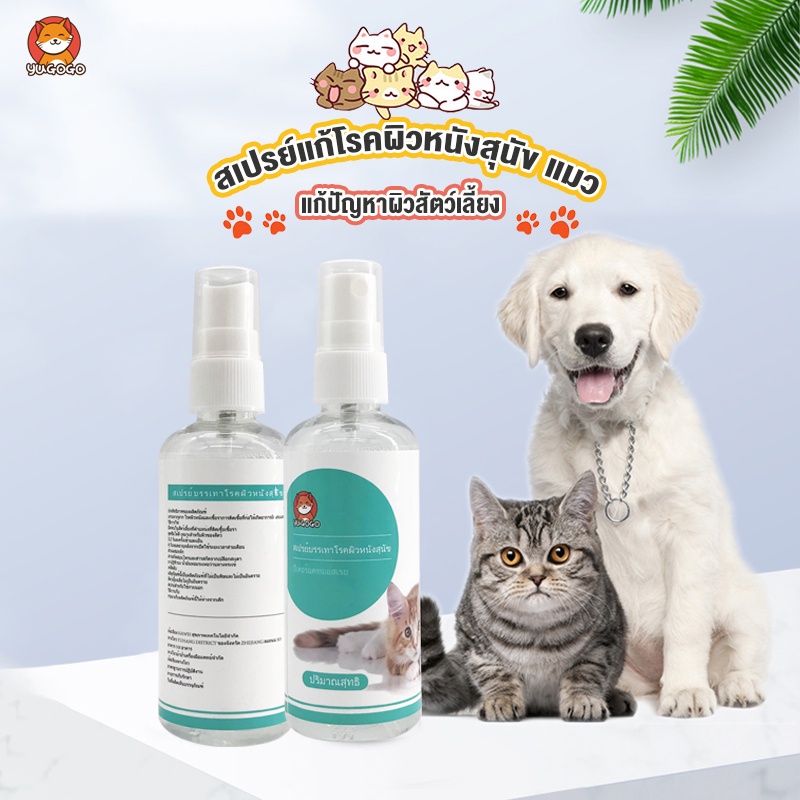 สเปรย์นาโน ไคโตซาน สูตรออริจินัล NaturePlus รักษาโรคผิวหนัง เชื้อรา ยีสต์ ขี้เรื้อน ขนาด 30 ml ...