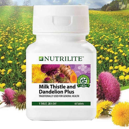 Amway NUTRILITE Milk Thistle And Dandelion Plus (60 Tab) นิวทริไลท์ ...