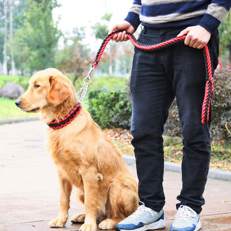 【อุปกรณ์สัตว์เลี้ยง】 สายจูงสุนัข [รุ่นขยาย] P chain traction dog สุนัข ...