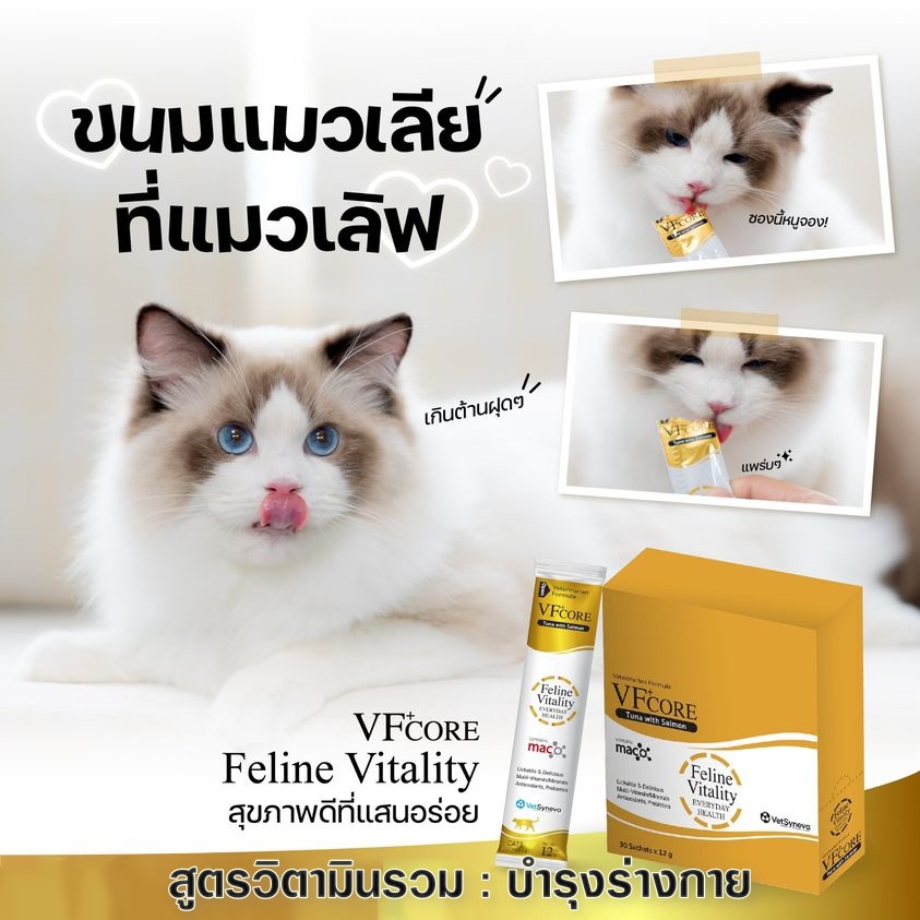 VF core Feline Vitality อาหารเสริม แมว ขนมแมวเลีย สูตรสีทอง วิตามินรวม ...