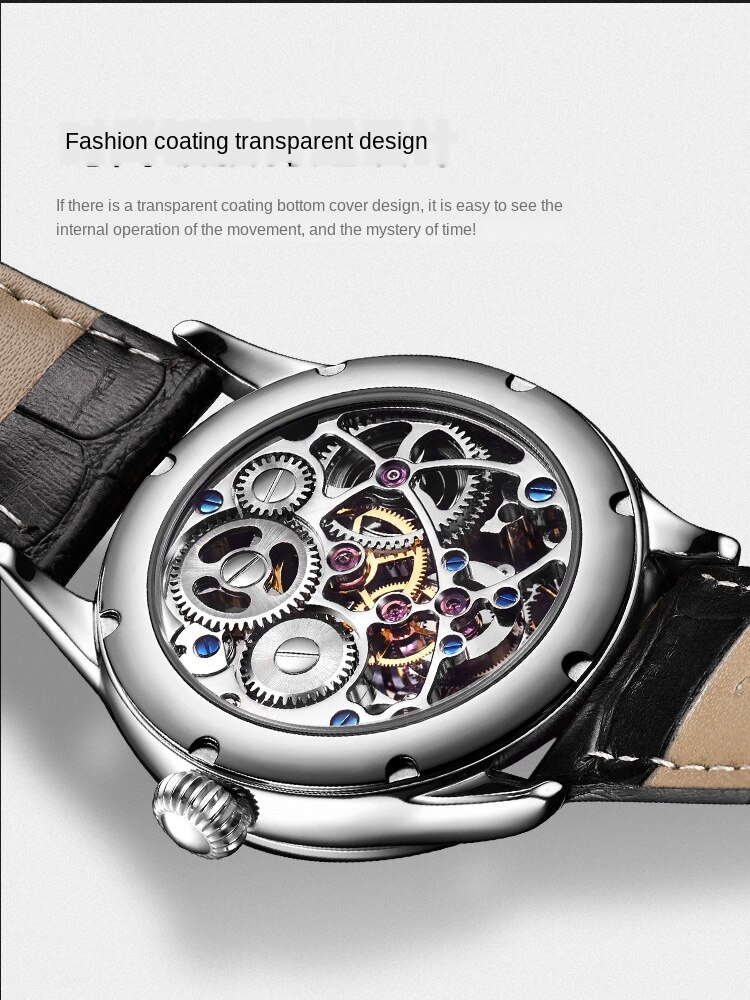 Swiss Richard Starry Sky Watch Men's Top Ten Brands Automatic ...