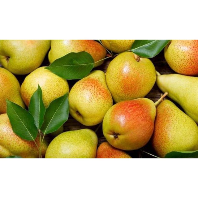 LP09_shop, ร้านค้าออนไลน์ | Shopee Thailand