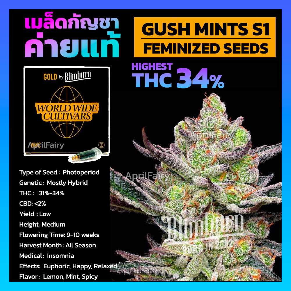 Feminized ถูกที่สุด พร้อมโปรโมชั่น ก.ย. 2023|BigGoเช็คราคาง่ายๆ