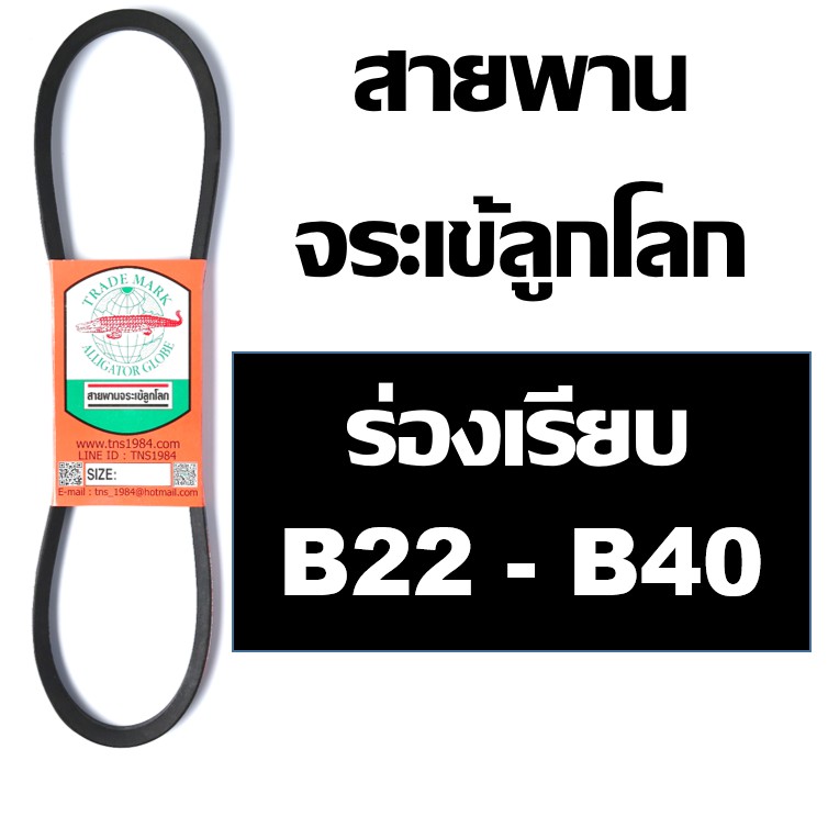 จระเข้ลูกโลก สายพาน ร่อง B ร่องเรียบ B22 B23 B24 B25 B26 B27 B28 B29 B30 B31 B32 B33 B34 B35 B36 ...