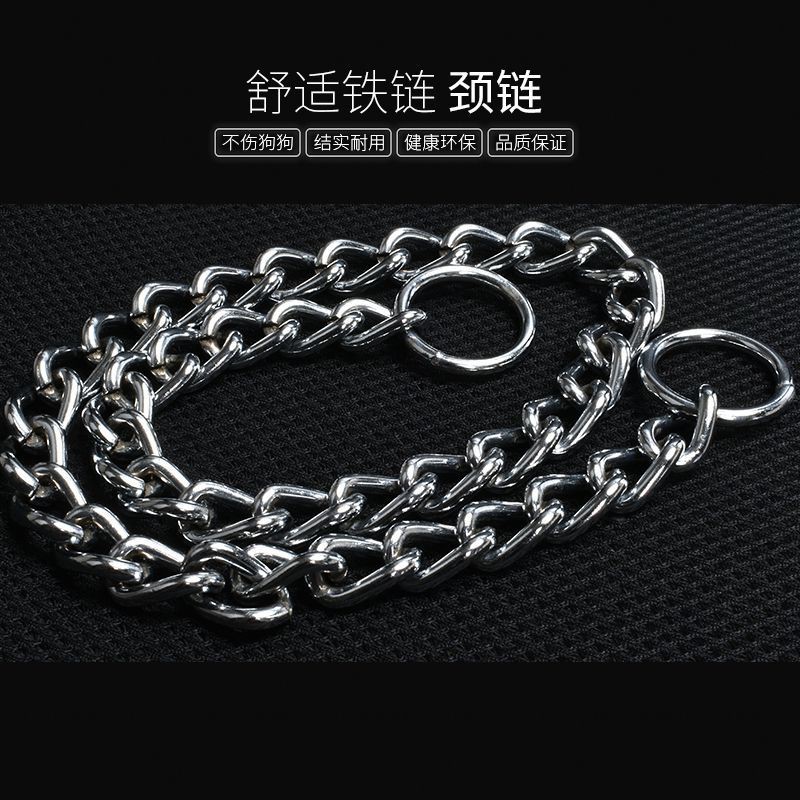 ⊕Pet Stainless Steel P Chain Dog Rope Leash Golden Retriever 304 Collar ...