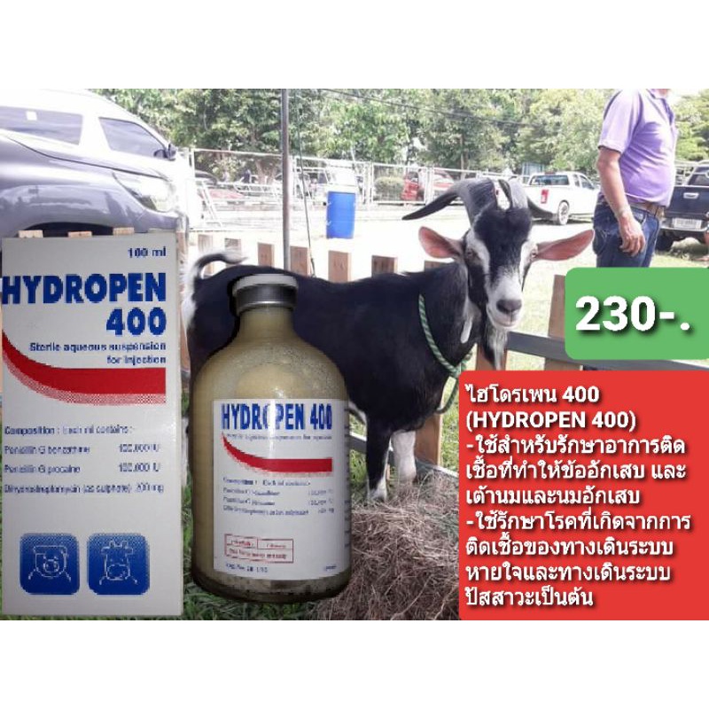 ไฮโดรเพน 400 (Hydropen 400) 100ml. - big_banksg - ThaiPick