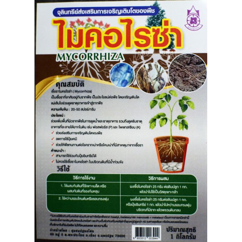 เชื้อรา ไมคอร์ไรซา Mycorrhiza เสริมการเจริญเติบโตของพืช ช่วยให้พืชโต ...