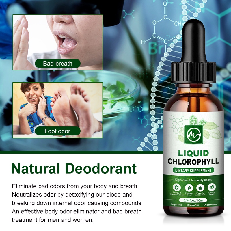 Minch Liquid Chlorophyll Drops for Detox Organic Chlorophyllin Helps ...