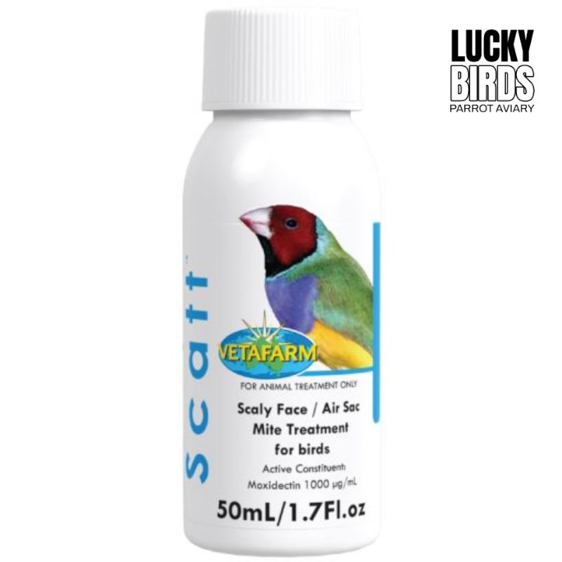 scatt ถูกที่สุด พร้อมโปรโมชั่น ก.ย. 2025 | BigGoเช็คราคาง่ายๆ