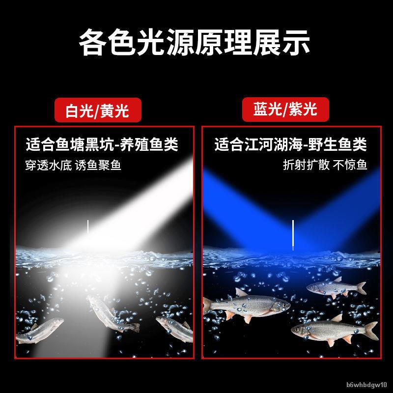 สินค้าเฉพาะจุด♤Voerson night lamp fishing fishing ultra bright light ...