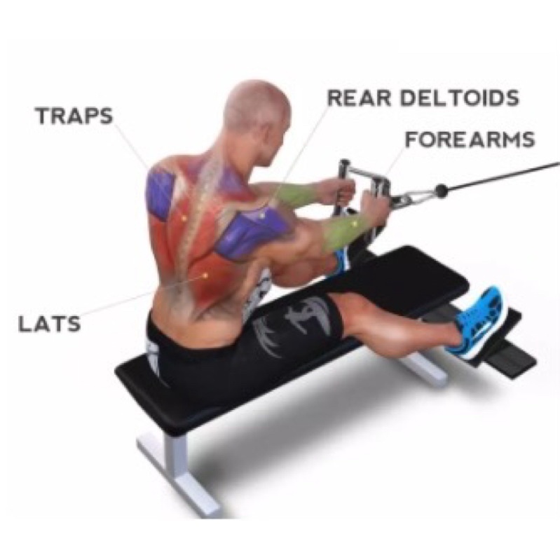 FEX fitness - V Grip Triangle V Bar Duuble Grip อุปกรณ์เล่นกับเคเบิล ...