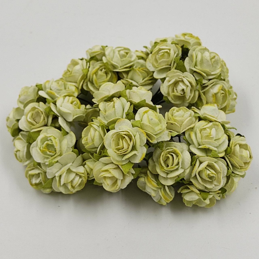 ดอกกุหลาบกระดาษจิ๋ว ถูกที่สุด พร้อมโปรโมชั่น พ.ค. 2023|BigGoเช็คราคาง่ายๆ