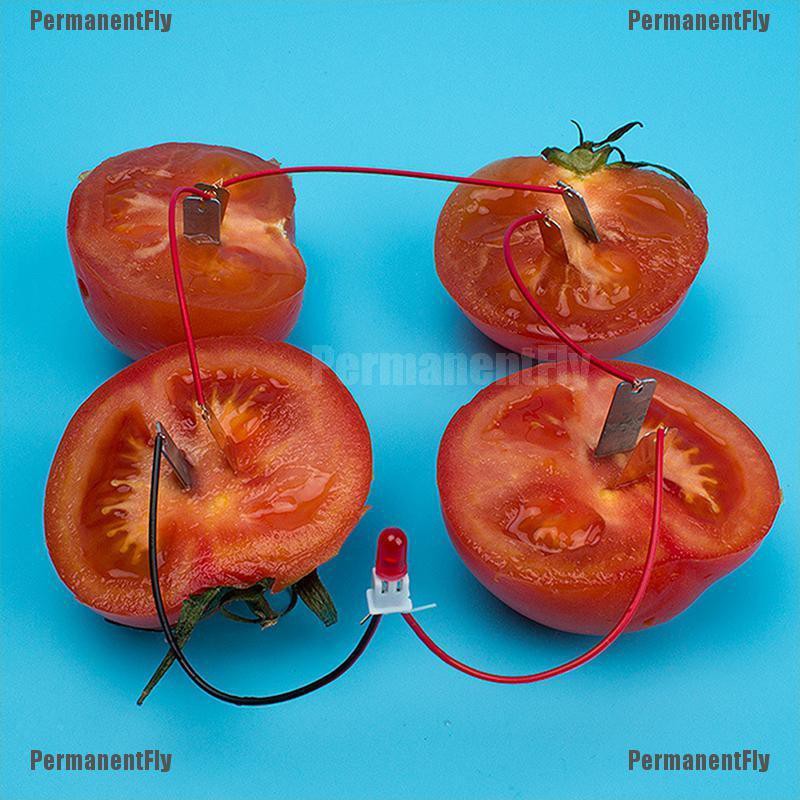 PermanentFly 1 Set Children Bio Energy Science Kit Potato Fruit Supply ...