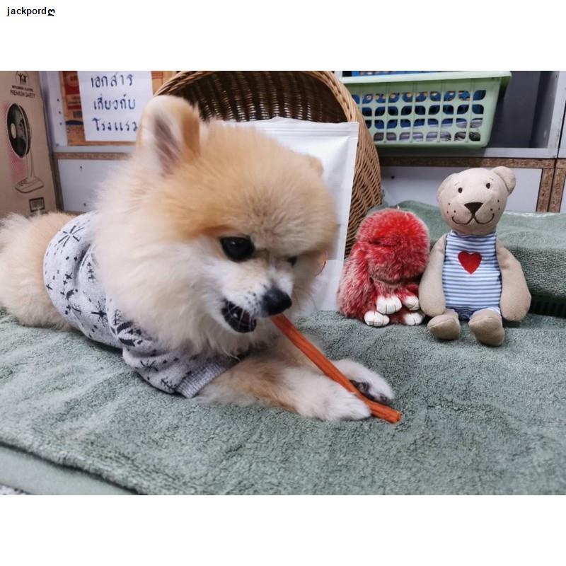 จุดประเทศไทยขนมสติ้กน้องหมาขนมน้องหมาโฮมเมดVeggie stick for dog ...