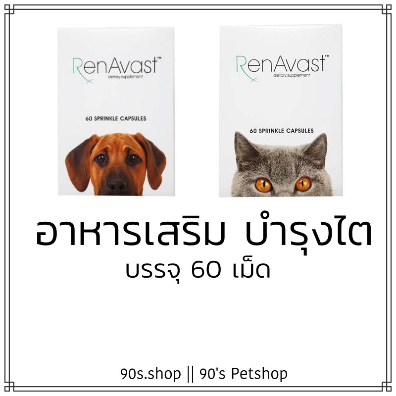 Viyo Renafelin วีโย่ รีนาฟีลิน อาหารเสริมบำรุงไตแมว ผลิตภัณฑ์บำรุงไต ...