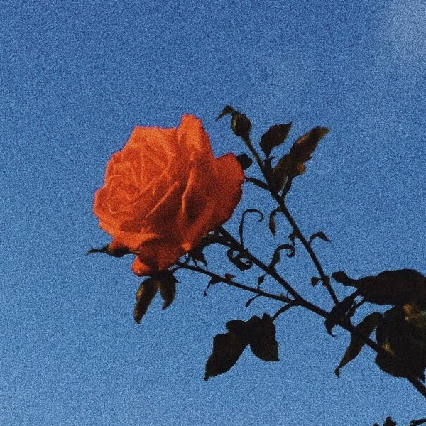 UDOMPHAN stationery, ร้านค้าออนไลน์ | Shopee Thailand