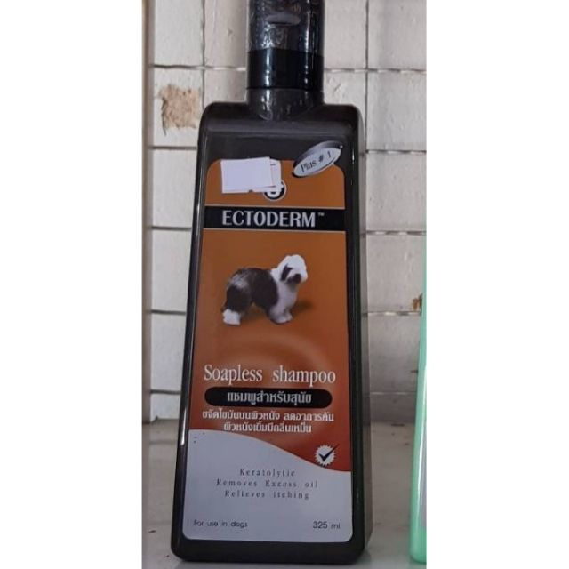 Ectoderm ถูกที่สุด พร้อมโปรโมชั่น ก.ค. 2022|BigGoเช็คราคาง่ายๆ