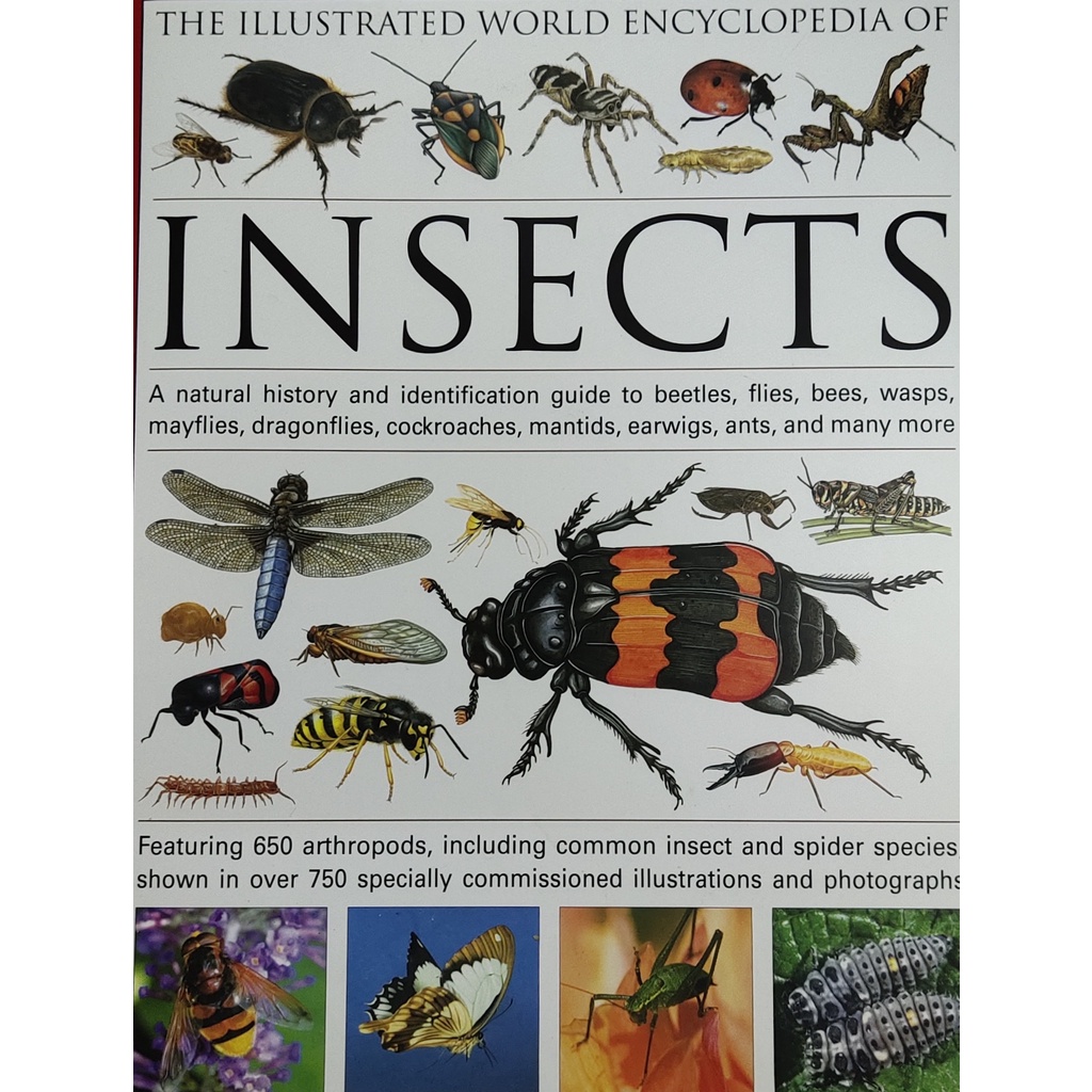 หนังสือแมลง ประวัติแมลงทั่วโลก ภาษาอังกฤษ THE ILLUSTRATED WORLD ...