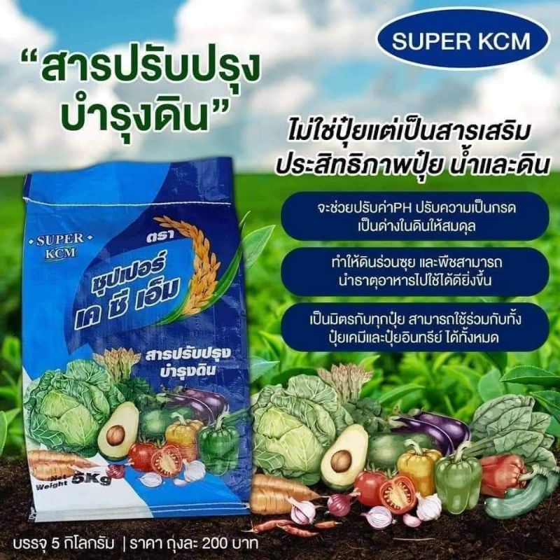 kcmปุ๋ย ถูกที่สุด พร้อมโปรโมชั่น พ.ย. 2025 | BigGoเช็คราคาง่ายๆ