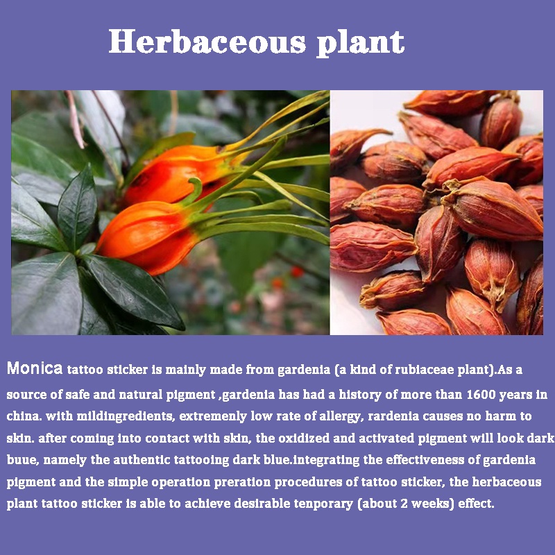 【Monica Tattoo】สติกเกอร์รอยสักชั่วคราว กึ่งถาวร กันน้ํา ติดทนนาน - lin ...