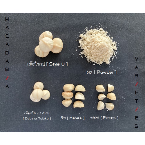 แมคคาเดเมีย (Macadamia Kernel) - nut.fruit - ThaiPick