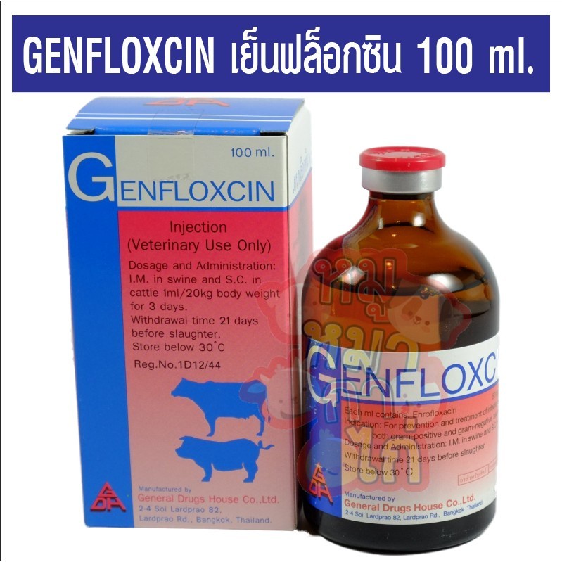 GENFLOXCIN เยนฟล๊อกซิน 100 ml ช่วยเรื่องติดเชื้อระบบทางเดินหายใจ ...