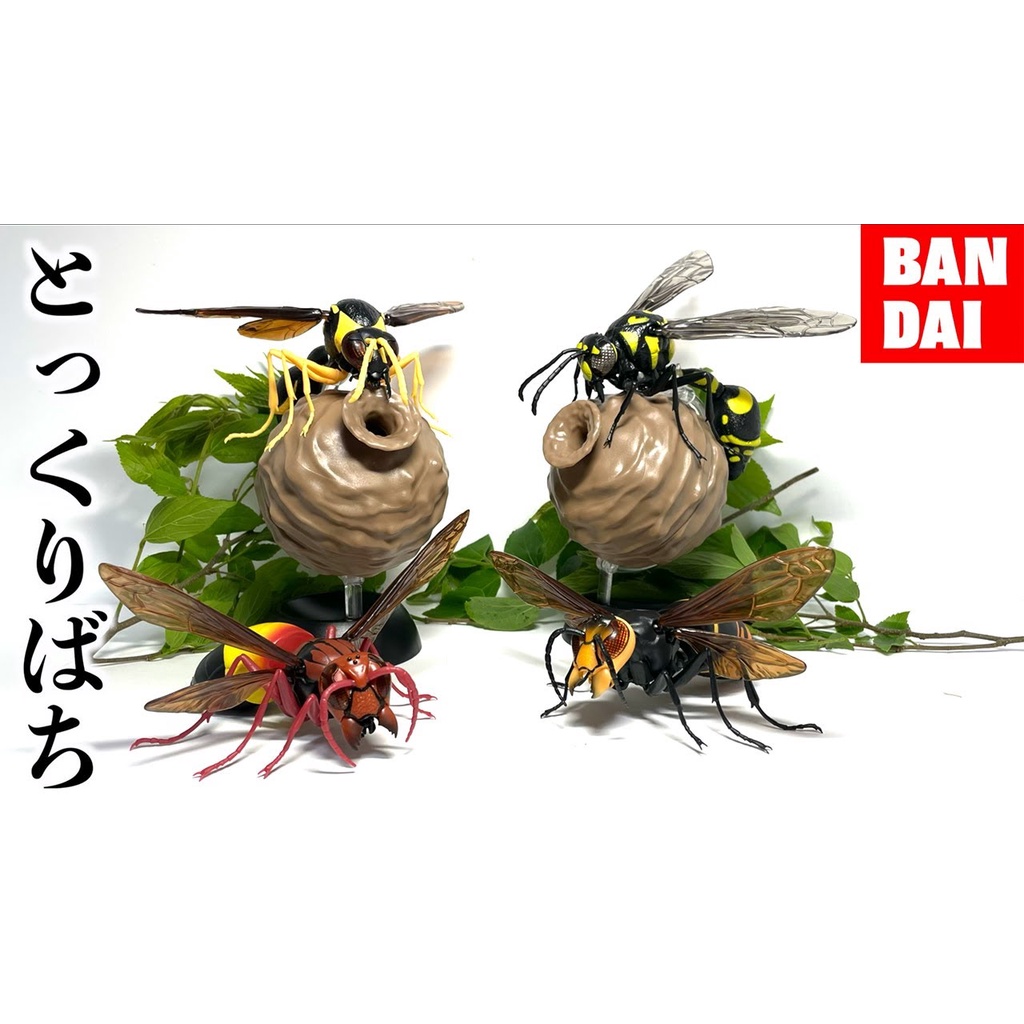 (ครบชุดพร้อมส่ง) กาชาปองตัวต่อ Gashapon Dango Mushi Suzumebachi Bandai ...