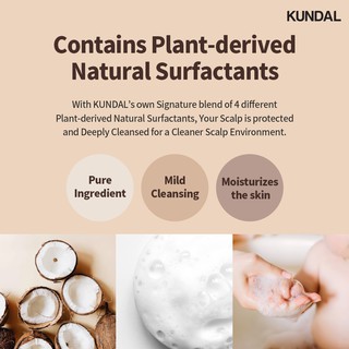 [KUNDAL][Lauchched New Fragrance]Nature Perfume Shampoo 500ml / Honey ...