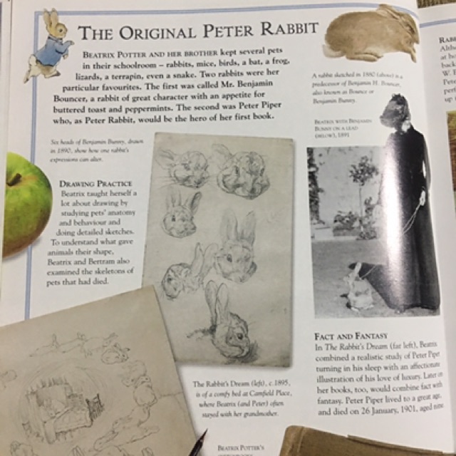 หนังสือ The Ultimate Peter Rabbit A visual guide to the world of ...