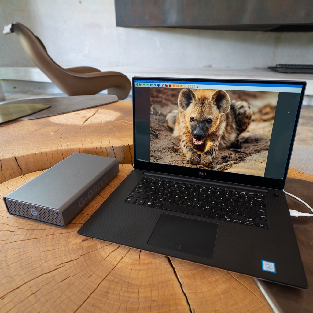 SanDisk Professional G-DRIVE PRO 4TB ,6TB, 12TB ,18TB ,Thunderbolt 3 ...