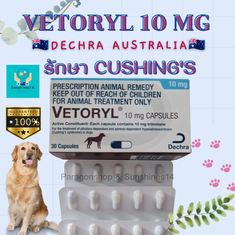 Vetoryl ถูกที่สุด พร้อมโปรโมชั่น ต.ค. 2022|BigGoเช็คราคาง่ายๆ