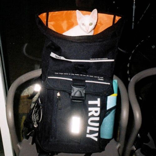 พร้อมส่ง NEWกระเป๋าเป้ BACKPACK TRULY REFLECTIVE BAG แบกสีดำ รุ่นใหม่ ...