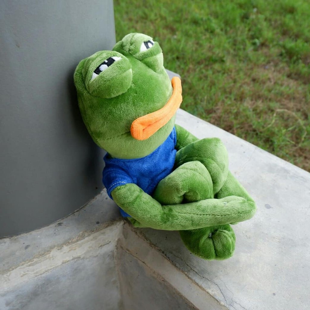 [ส่งจากไทย🇹🇭] ตุ๊กตากบ Pepe the frog | Shopee Thailand
