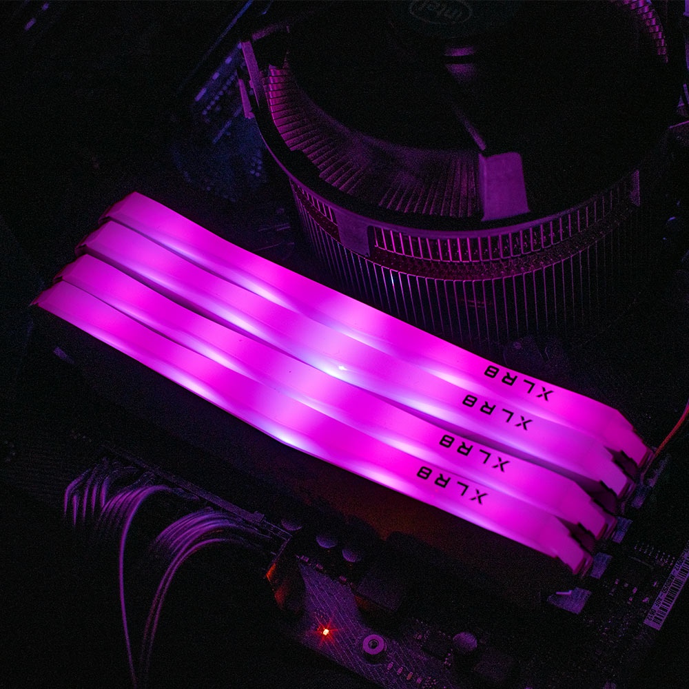 PNY Ram PC XLR8 RGB DDR4 16GB(8x2) 3600MHz Pink Limited Edition (แรม ...