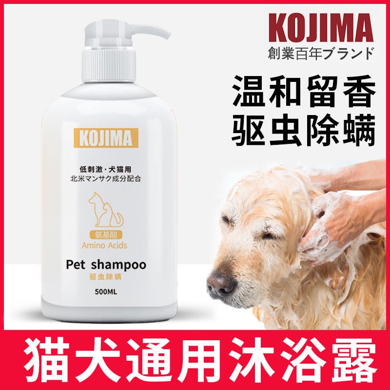 Cogetine โคจีติน ป้ายตา ฆ่าเชื้อ ลดตาอักเสบ สำหรับสัตว์เลี้ยง ...