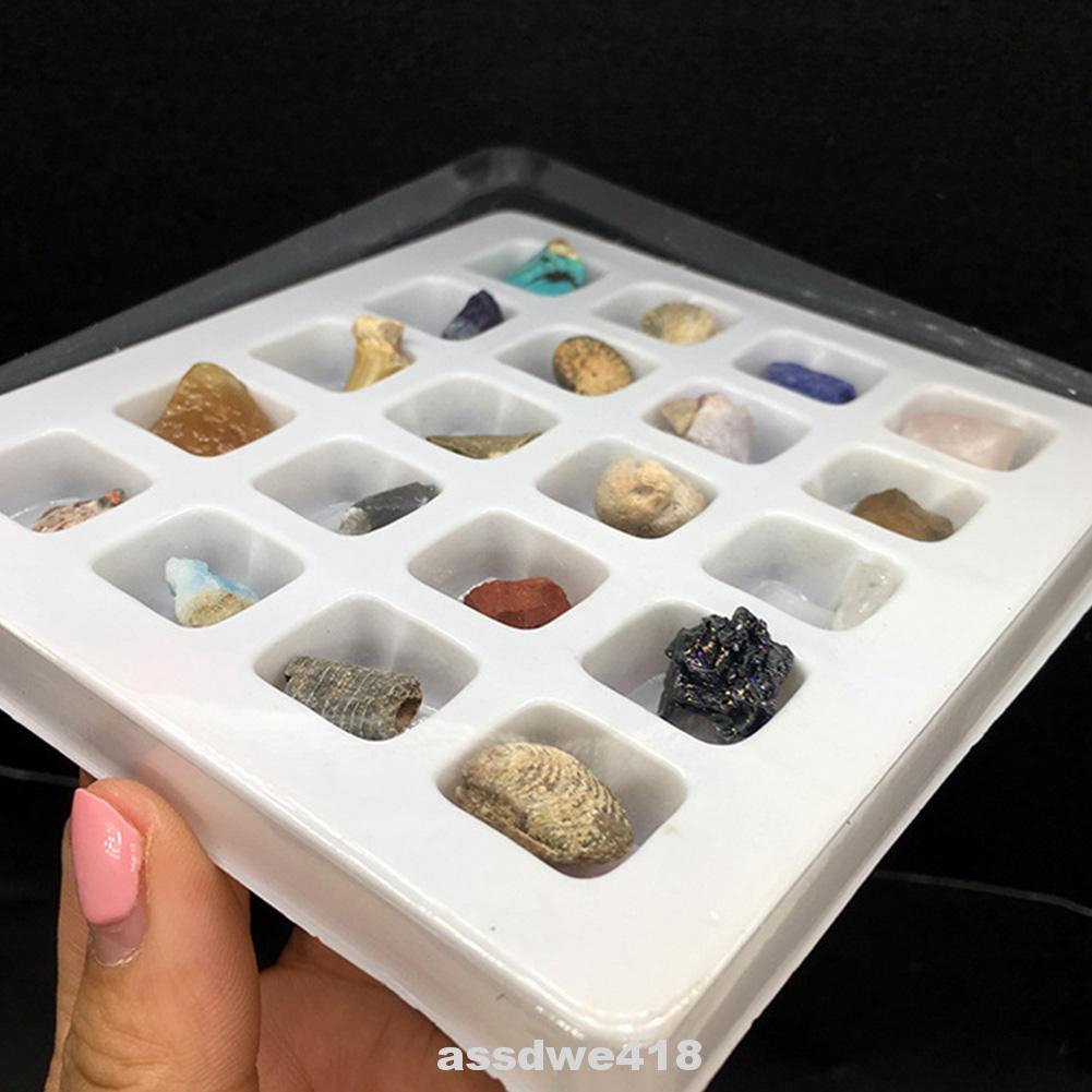 Craft Durable Ornament Teaching Materials Useful Ore Set - assdwe418.th ...
