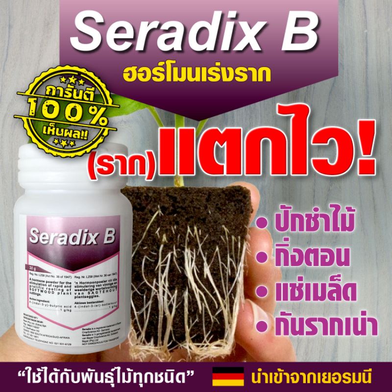 hormone rooting powder (Seradix) | Shopee Thailand