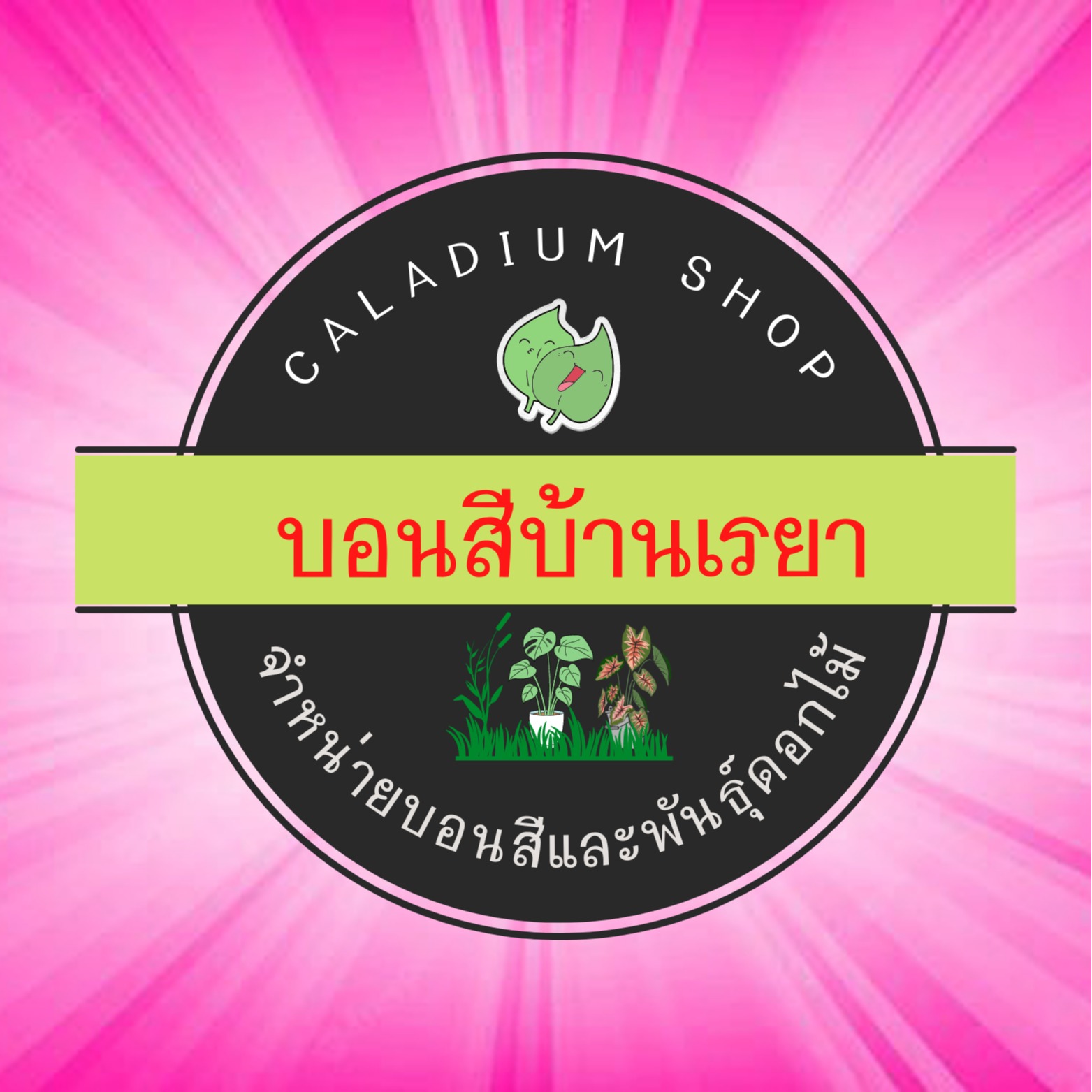 ray_raya, ร้านค้าออนไลน์ | Shopee Thailand