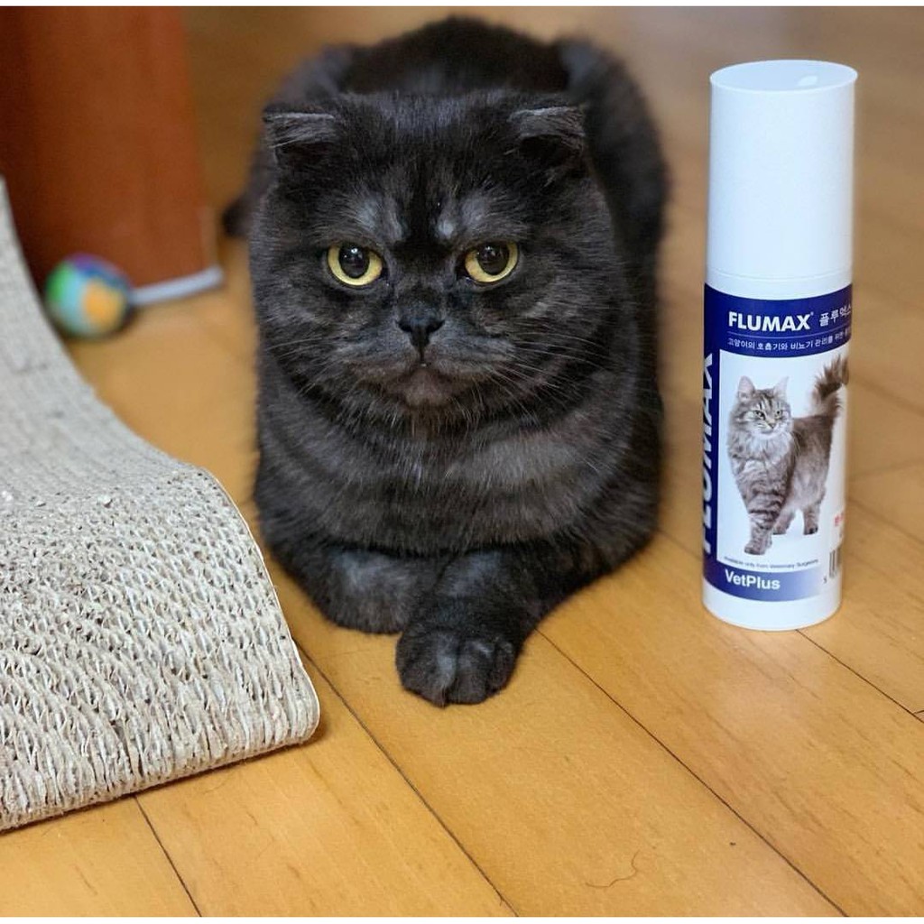 Flumax lysine วิตามินแมว ทานง่าย เสริมภูมิ ไลซีน ขนาด 150 มล เลขทะเบียน ...