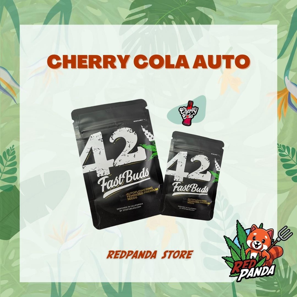 Fastbuds เมล็ดพันธุ์ Cherry Cola Auto เมล็ดกัญชานอก เมล็ดกัญชาค่าย ...