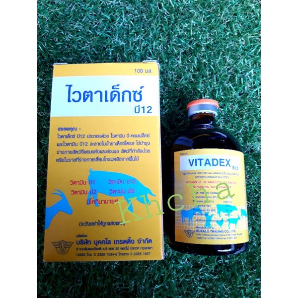 ไวตาเด็กซ์ บี12 VITADEX B12 100ml. - big_banksg - ThaiPick