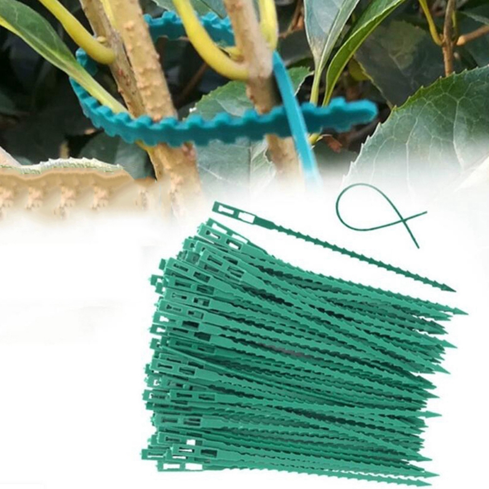 Mxgoods สายรัดต้นไม้พลาสติก 50 100 ชิ้น - mxgoods.th - ThaiPick