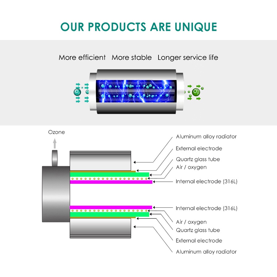 Pinus longaeva 5GH 5grams Quartz tube ozone generator Kit new ...