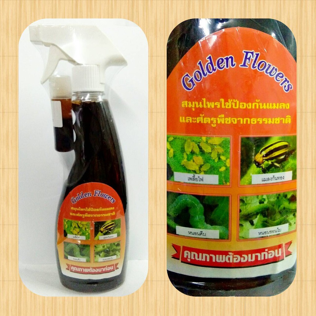 สมุนไพรกำจัดแมลงศัตรูพืช (Natural Insecticide: Laboratory approved) แบบ ...