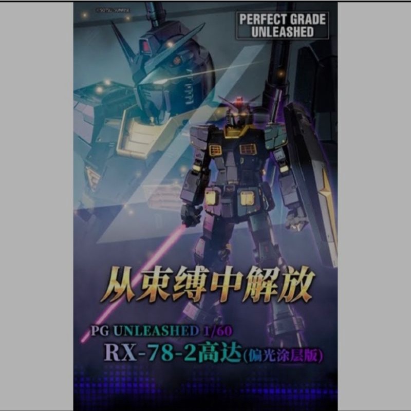 Limited Edition PG 1/60 Unleashed Rx-78-2 Gundam [Polarized Coating ...