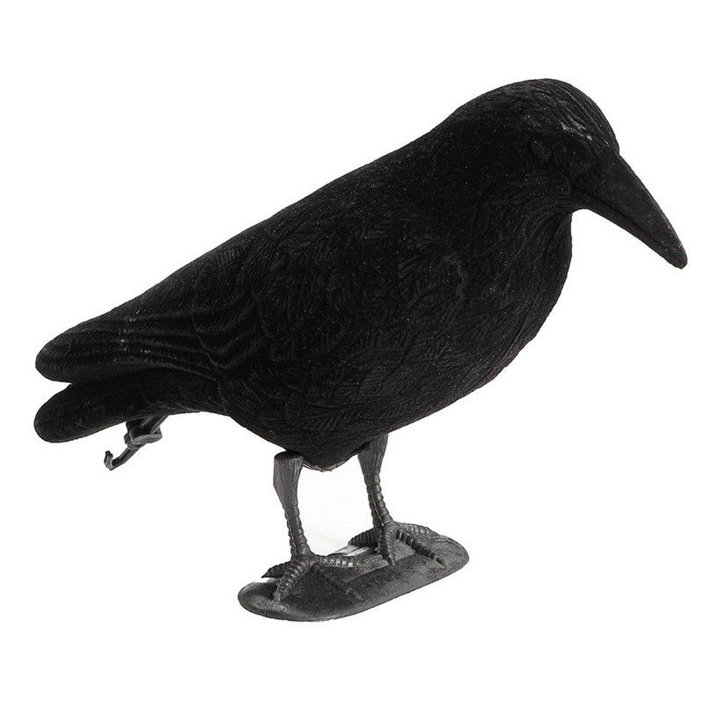Halloween Haunted House Prop Black Raven Crow Bird Spooky Looking ...