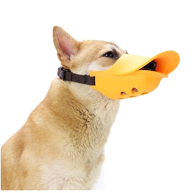 Aduck Anti - ผ้าปิดปากปากเป็ด Teddy Golden Retriever Dog Mouth Cover ...