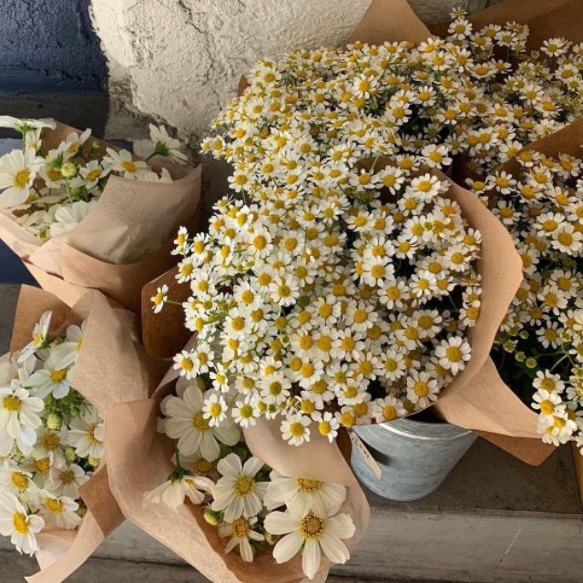 namtip.th, ร้านค้าออนไลน์ | Shopee Thailand