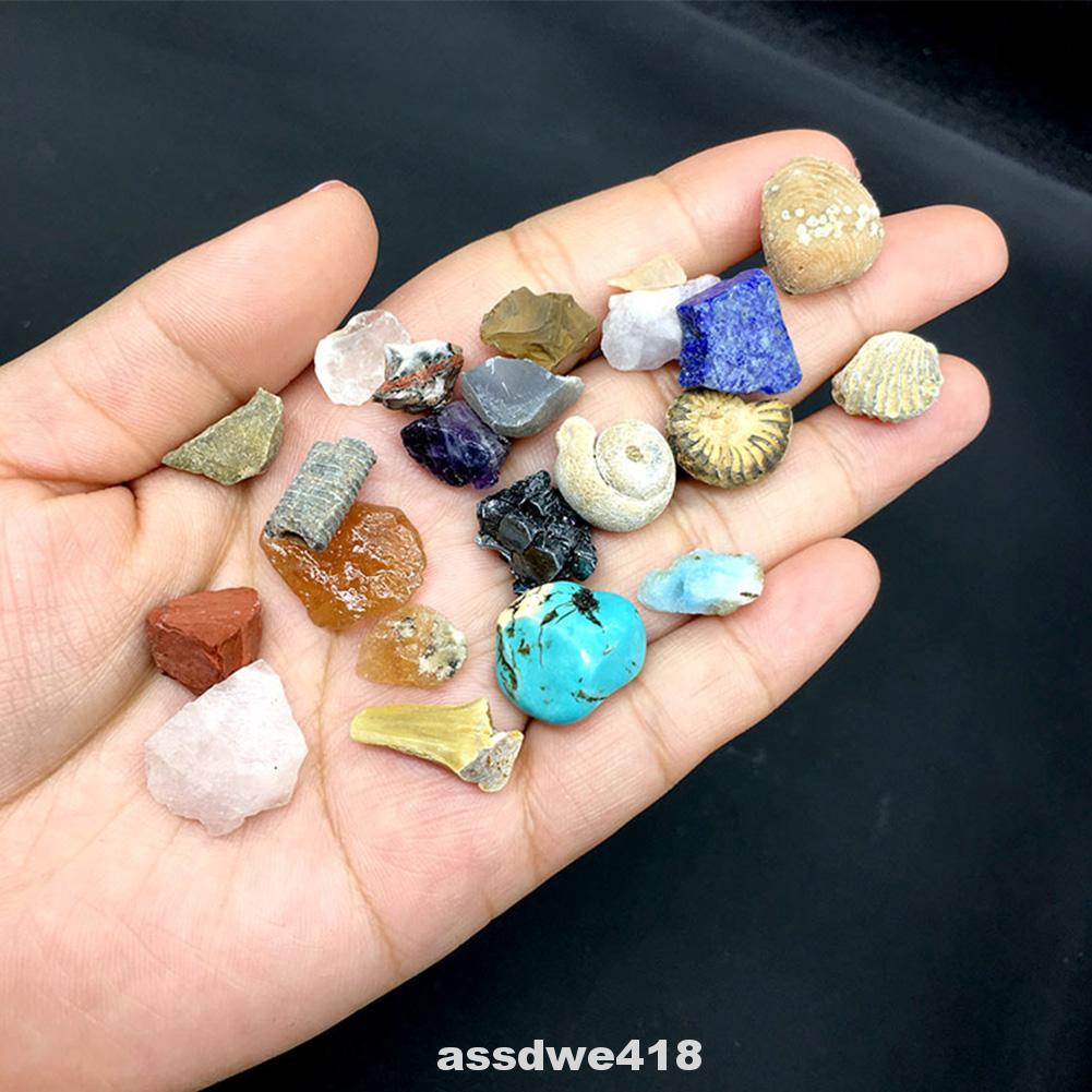 Craft Durable Ornament Teaching Materials Useful Ore Set - assdwe418.th ...