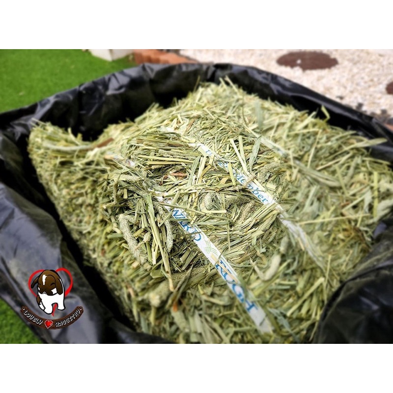 Timothy Super Premium plus หญ้าทิมโมธีแบบปึก 5 kg. สุดคุ้ม ...